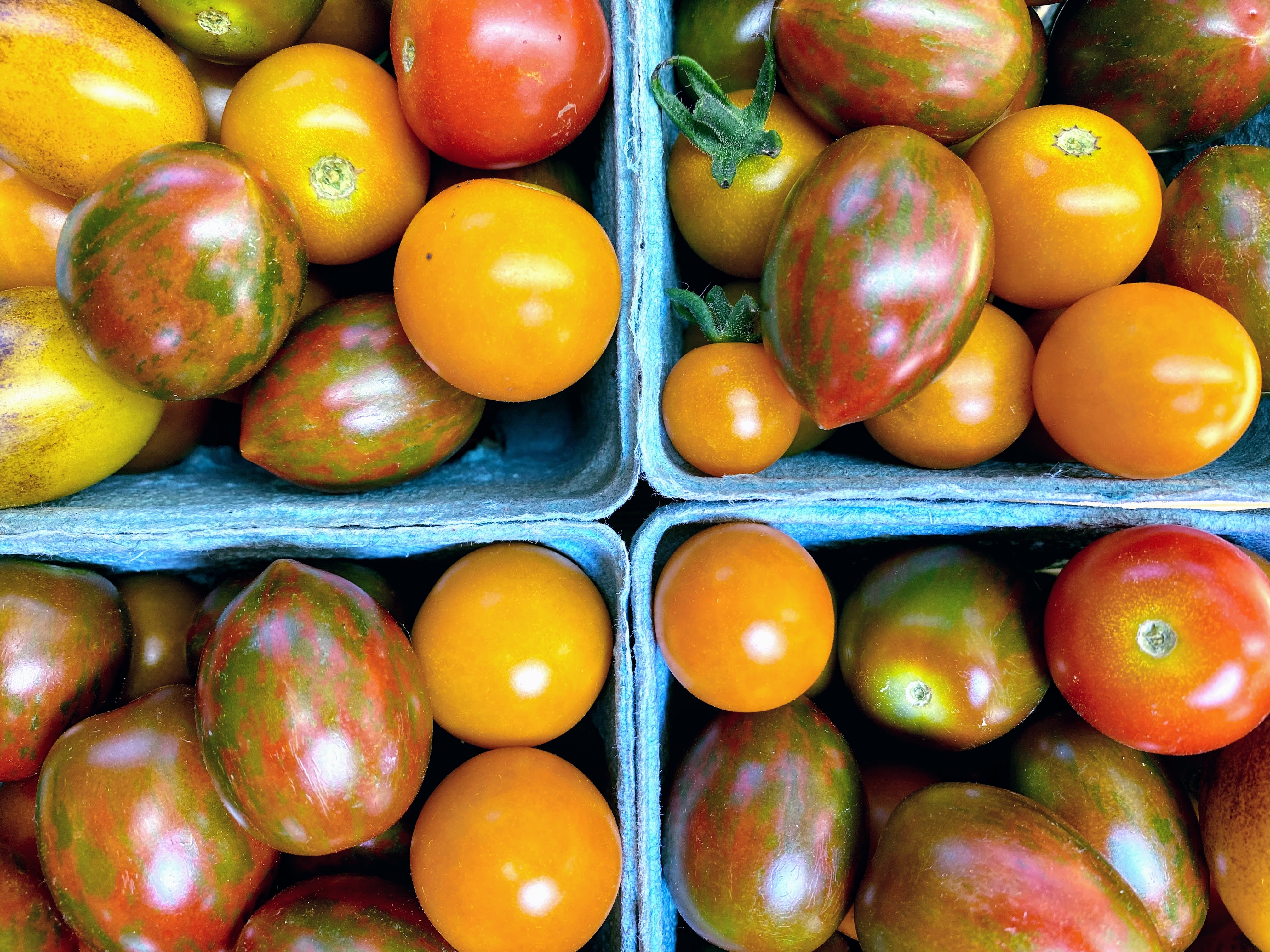 Shop Tomato Plants - Over 35 Tomato Varieties – The Farm On Central