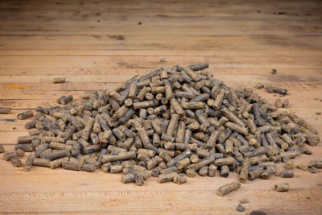 Fall Strawberry Plugs and Bare Root Plants – The Farm On Central