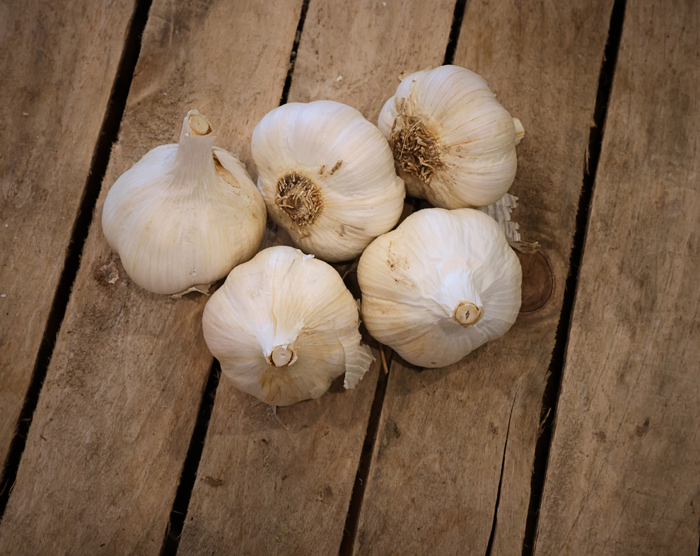 German White Garlic - Heirloom with European roots – The Farm On Central