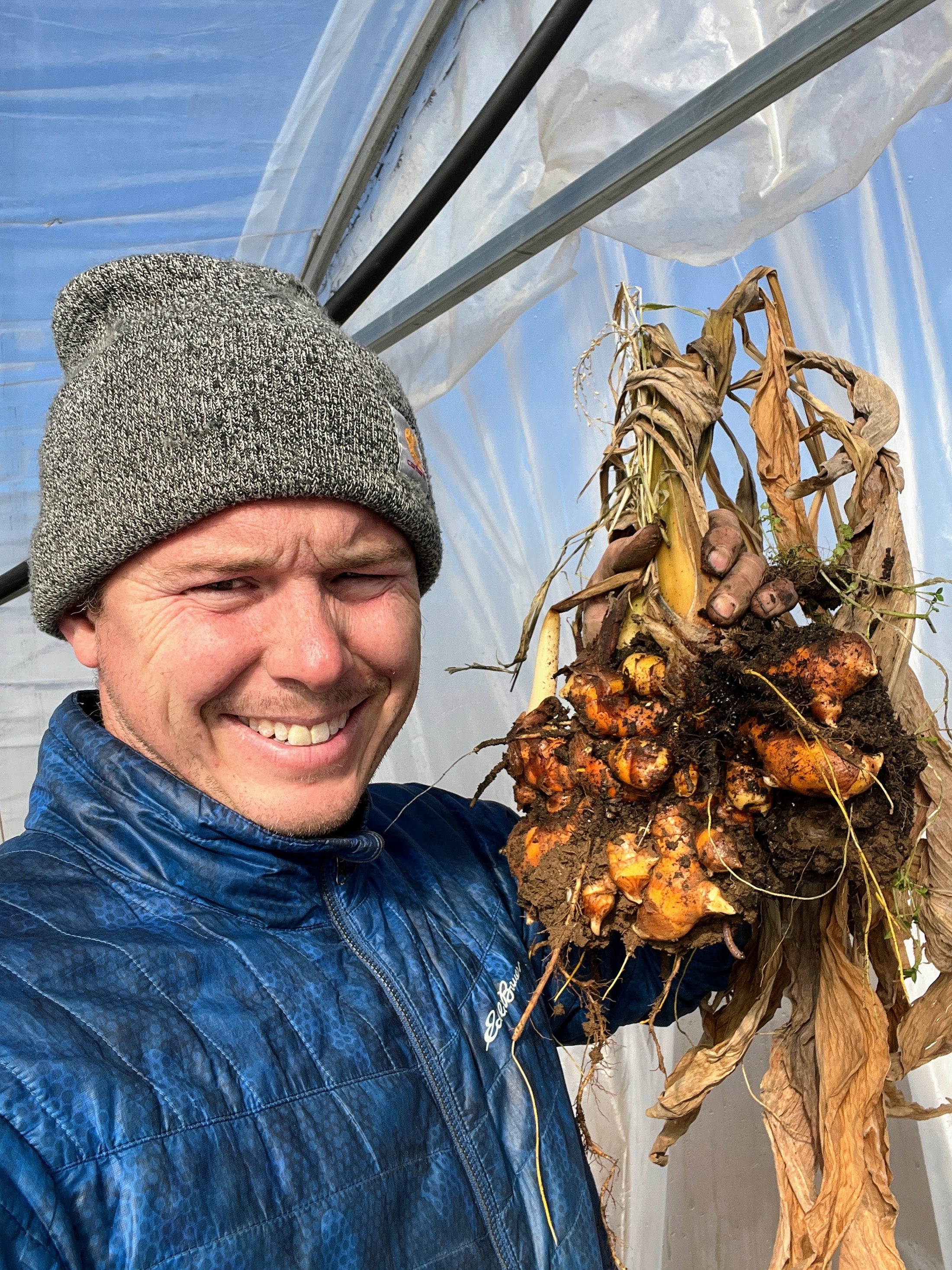 Turmeric Plants – The Farm On Central