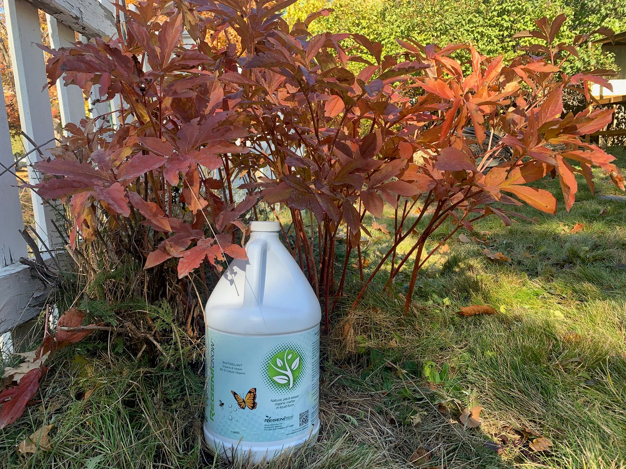 REGENiGROW™ Biostimulant (1 gal) - Free Shipping – The Farm On Central
