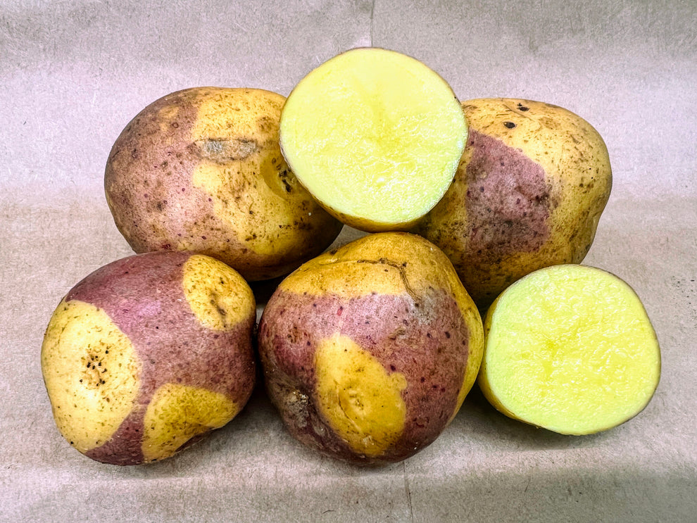 Pinto Gold – The Farm On Central