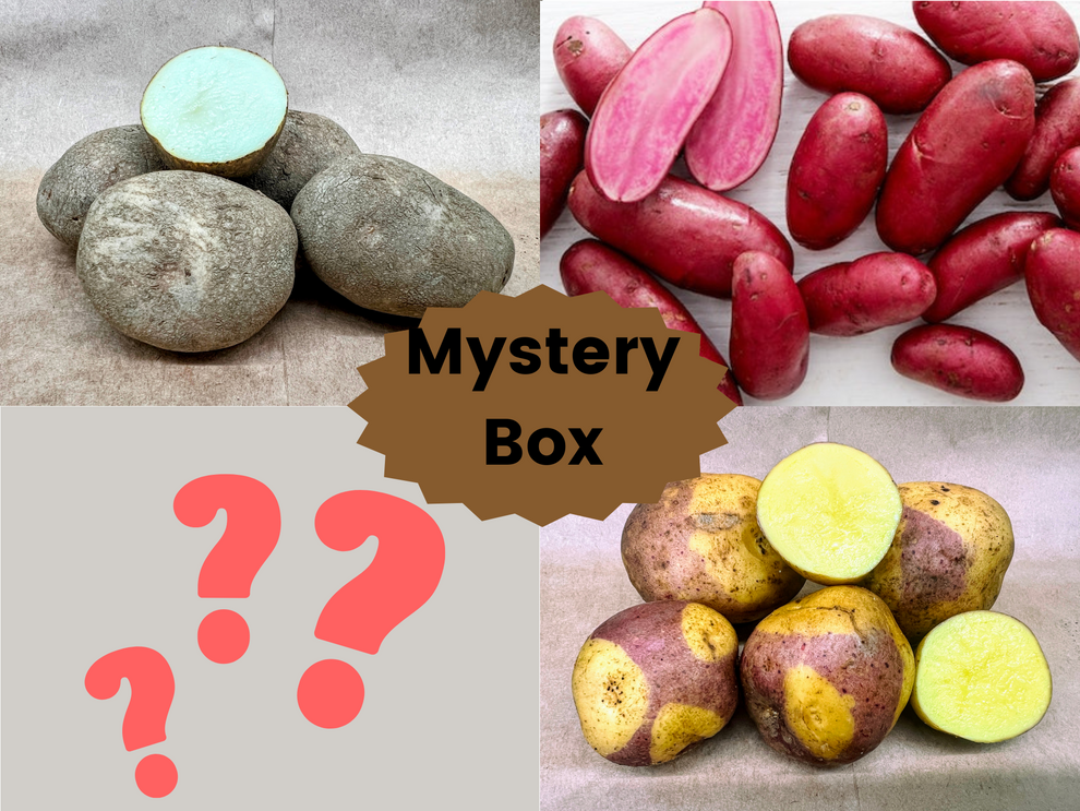 Potato Mystery Box – The Farm On Central