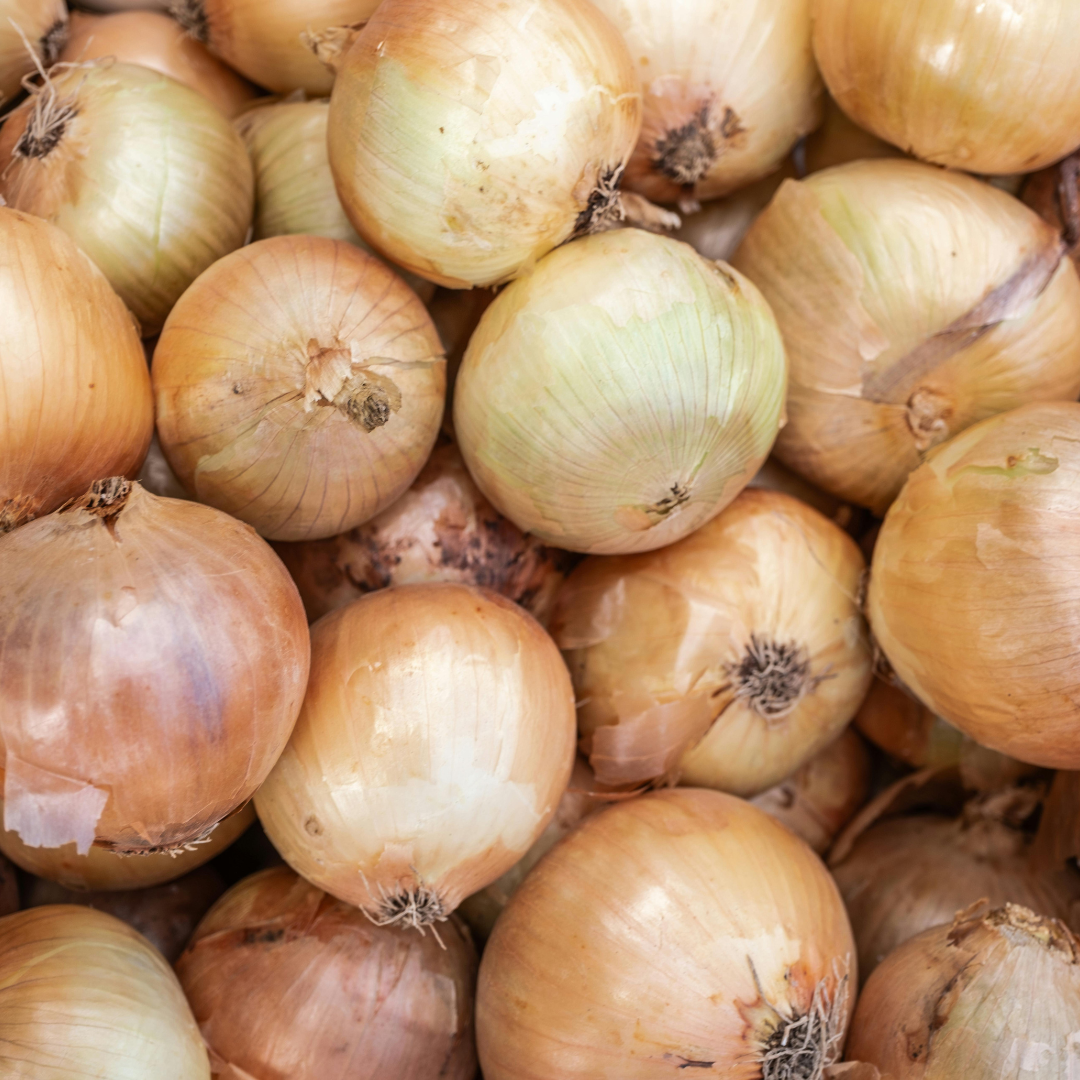 Texas Super Sweet Onion Plants (Short Day) – The Farm On Central