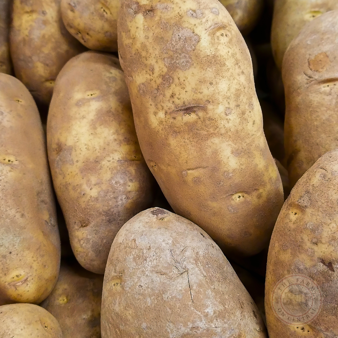 Caribou Russet Seed Potato – The Farm On Central