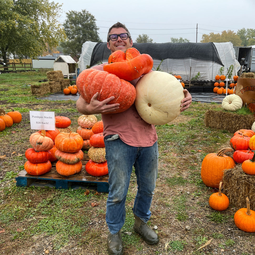Fall Strawberry Plugs and Bare Root Plants – The Farm On Central