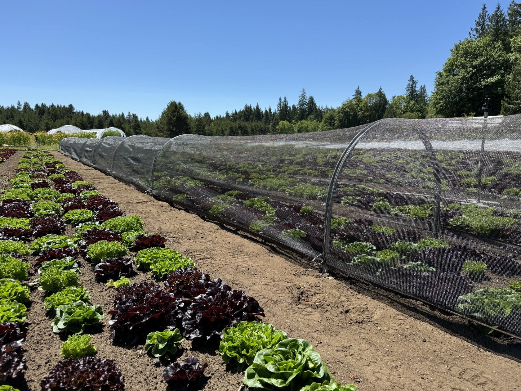 Premium Shade Cloth – The Farm On Central