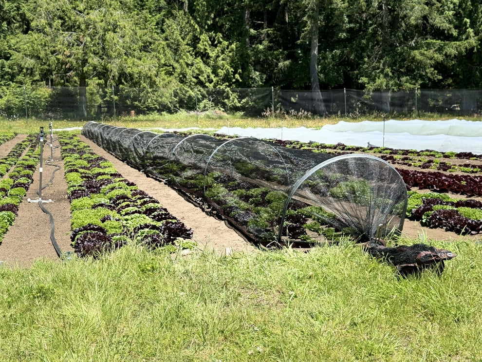 Premium Shade Cloth – The Farm On Central