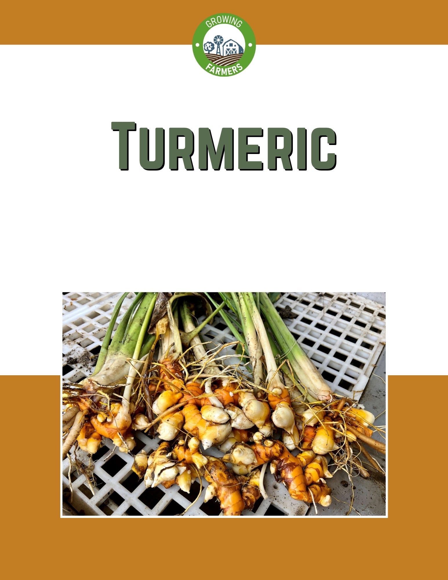 Explore Our Growing Guides! – The Farm On Central