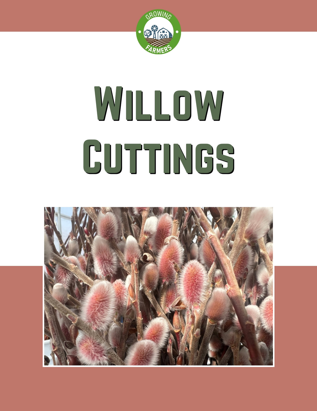 Willow Cuttings – The Farm On Central